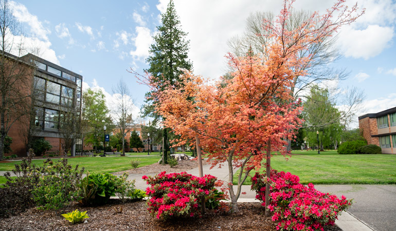 Faculty Development | George Fox University